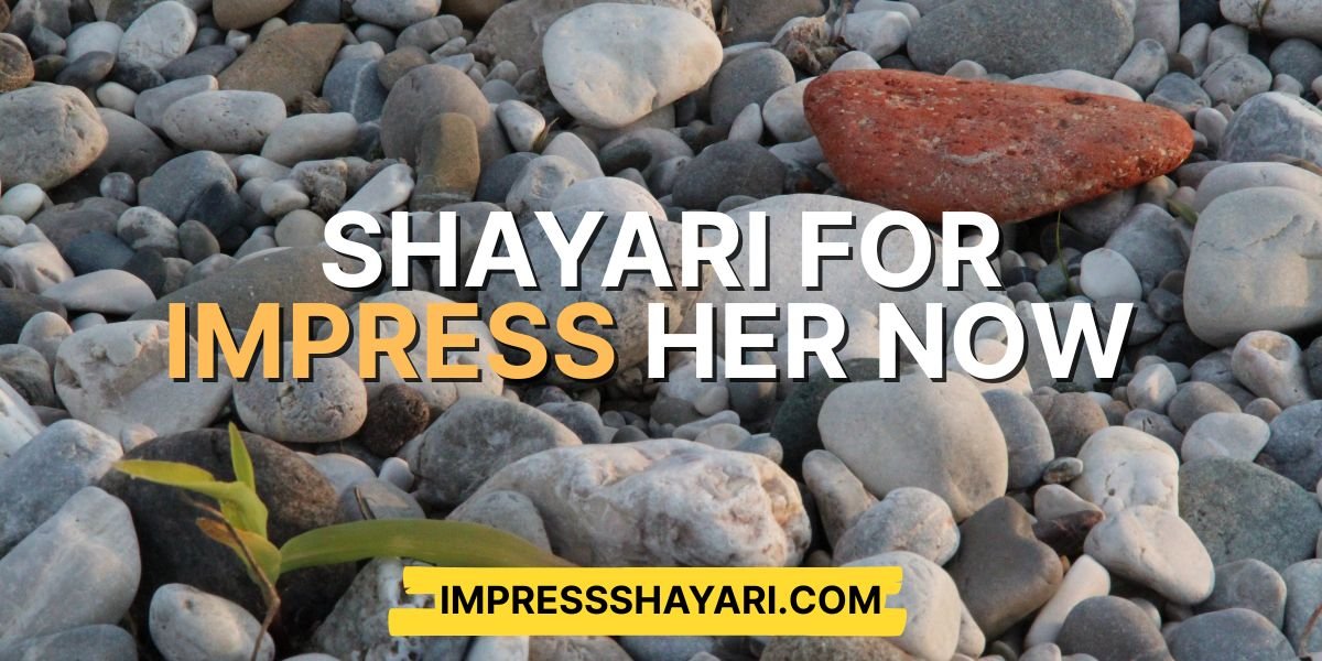 55+ Sweet English Shayari for Your Crush: Impress Her Now ...