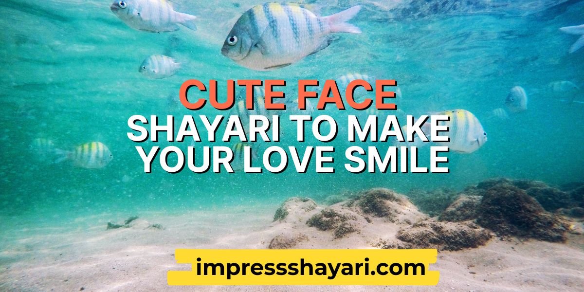 50+ Cute Face Shayari to Make Your Love Smile - impressshayari.com