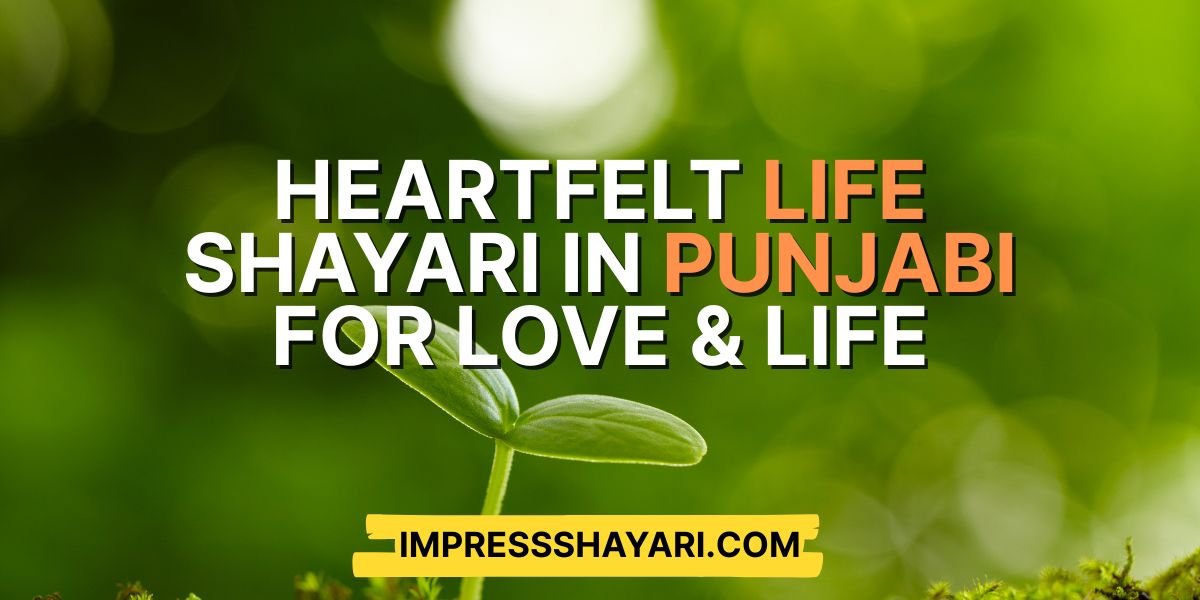 55+ Heartfelt Life Shayari in Punjabi for Love & Life - impressshayari.com