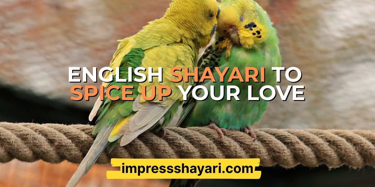 60+ Romantic English Shayari to Spice Up Your Love - impressshayari.com