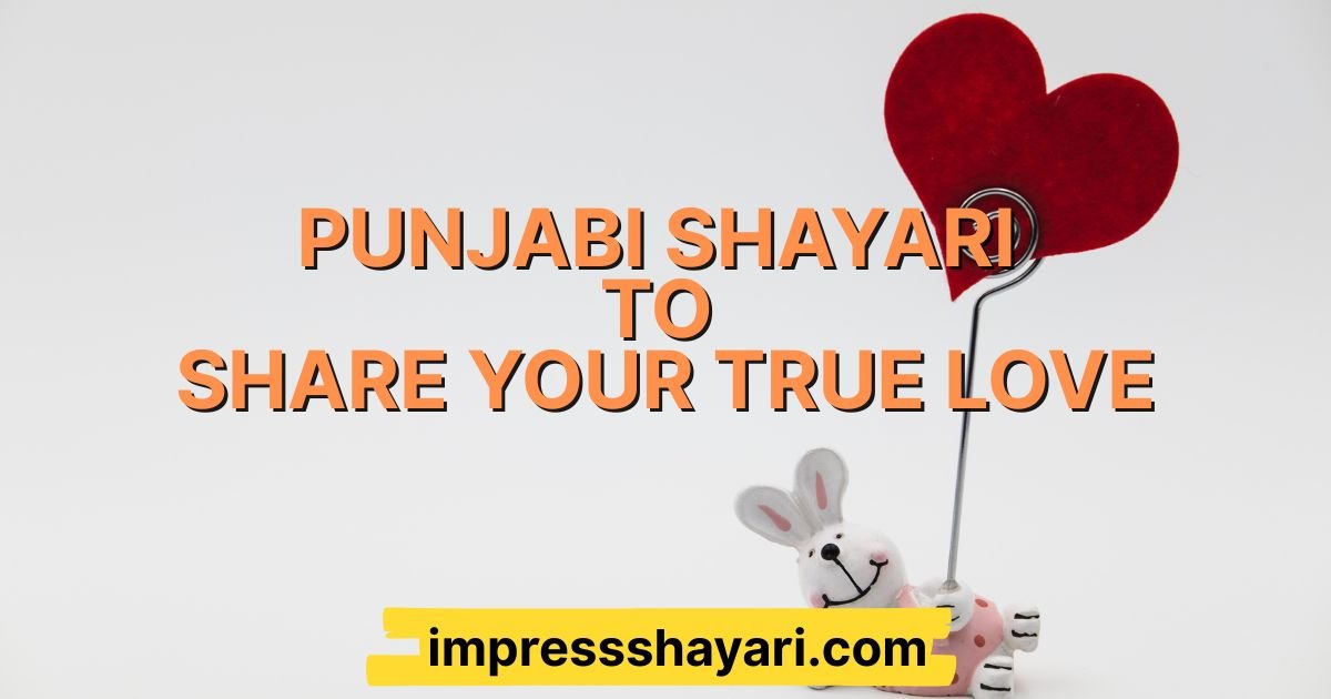 50+ Punjabi Shayari to Share Your True Love Feelings - impressshayari.com